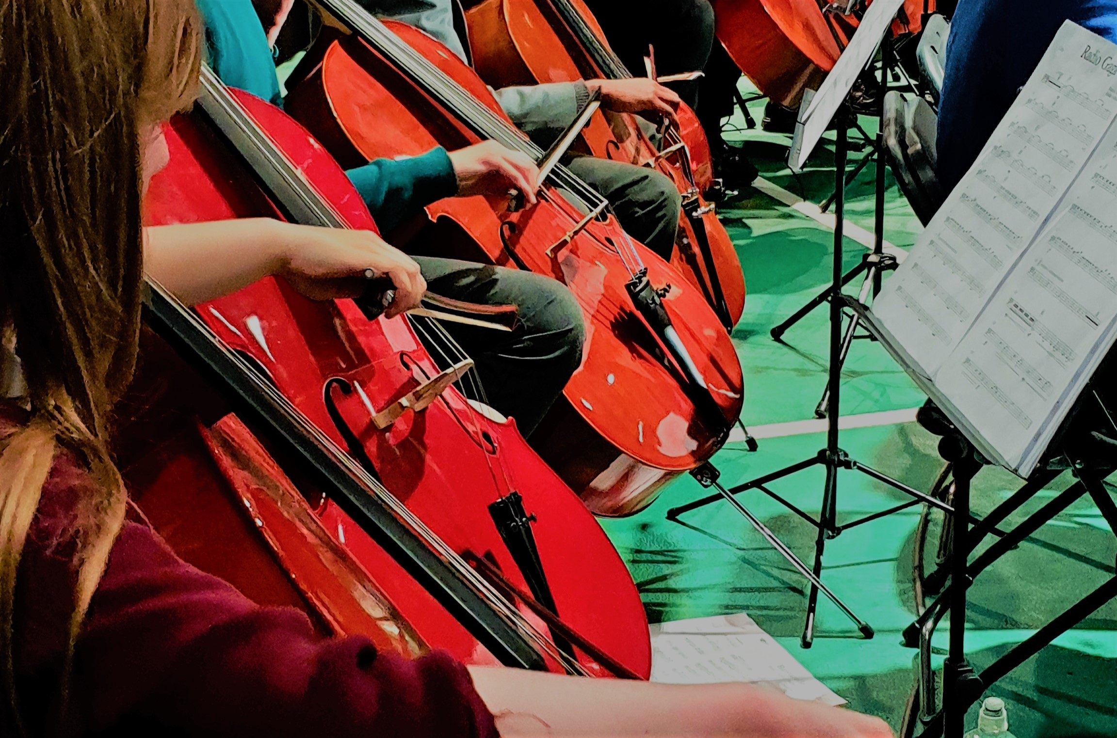 Richmond Youth Training Orchestra (RYTO) - Richmond Music Trust